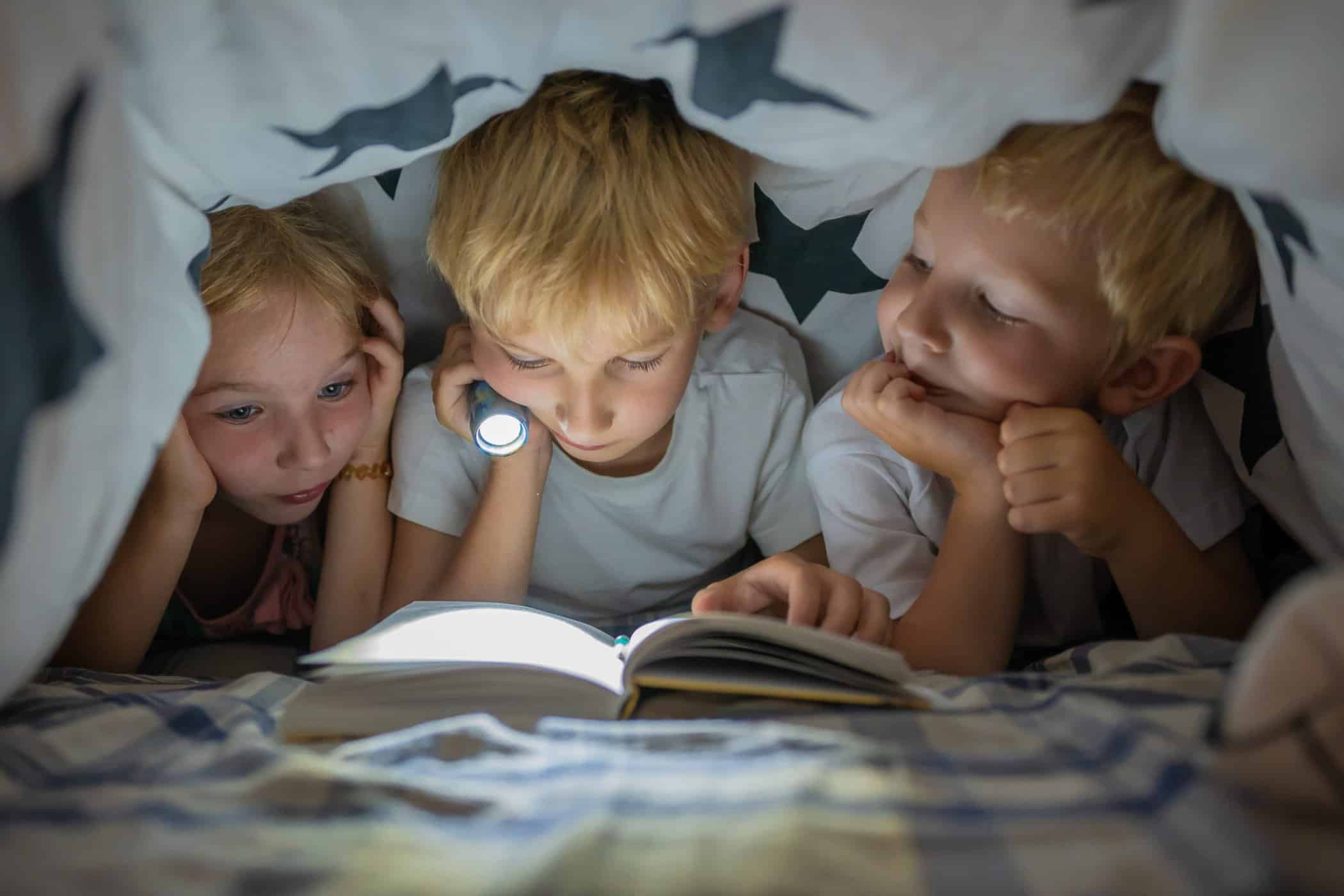 10 Fun Dutch Picture Books for 2024 - Dutch for Kids